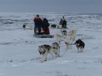 Experience Dogsledding with the Inuit of Nunavik | Mahoosuc
